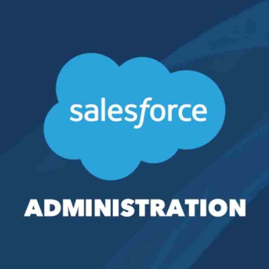 Mastering Salesforce: A Comprehensive Guide to Success in Admin and ...